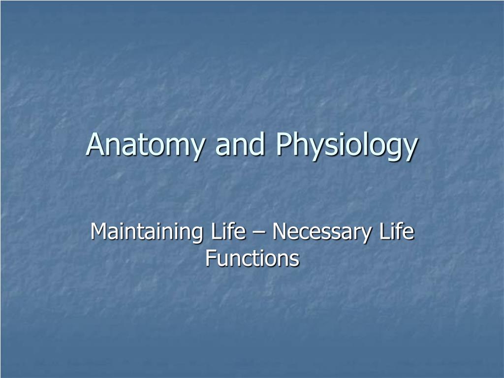 PPT - Anatomy and Physiology PowerPoint Presentation, free download ...