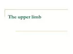 PPT - BONES OF THE UPPER LIMB PowerPoint Presentation, free download ...