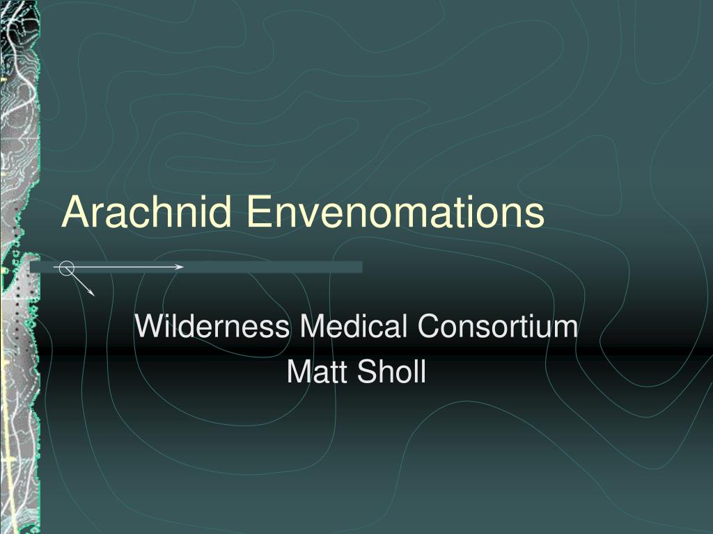 PPT - Arachnid Envenomations PowerPoint Presentation, free download ...
