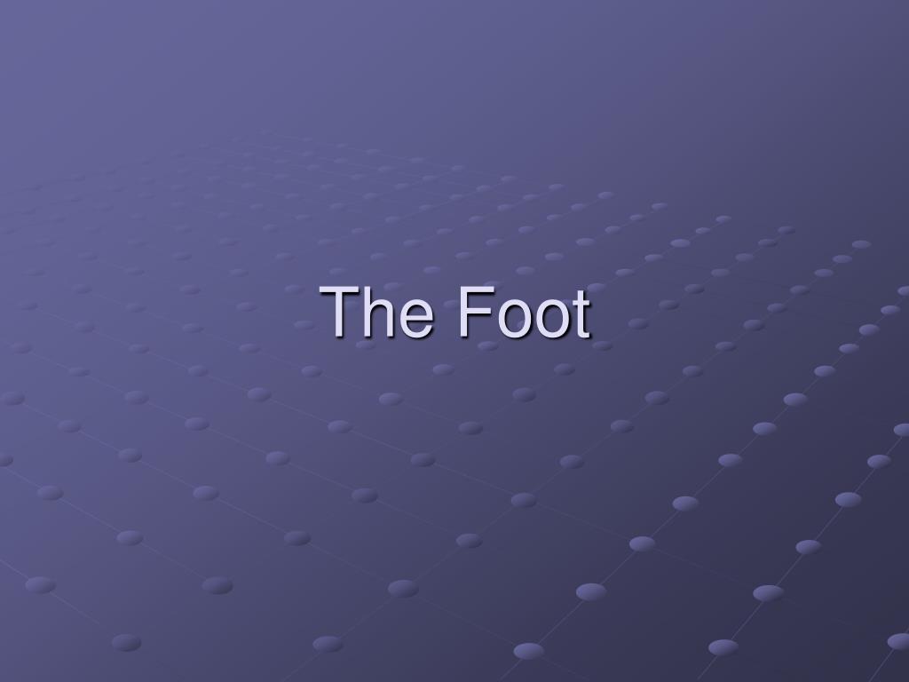 PPT - The Foot PowerPoint Presentation, free download - ID:1772843
