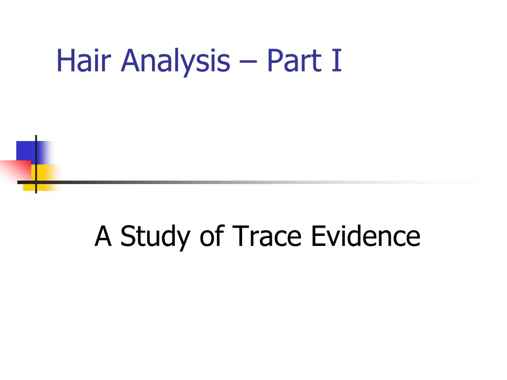 PPT - Hair Analysis – Part I PowerPoint Presentation, free download ...