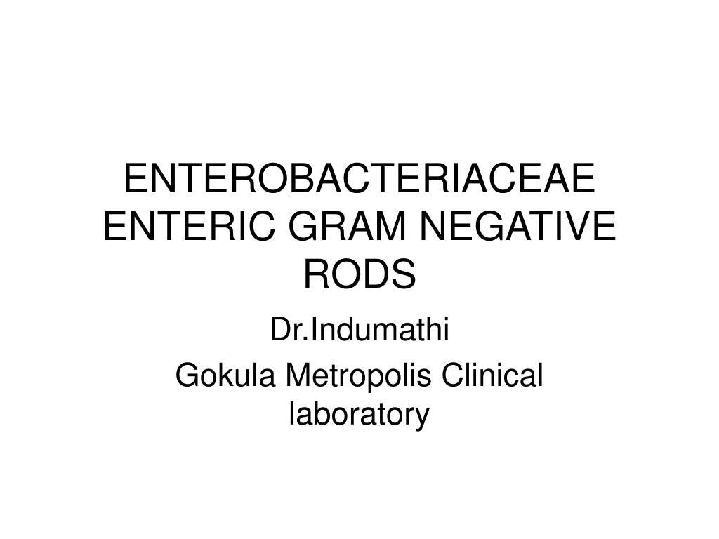 PPT - ENTEROBACTERIACEAE ENTERIC GRAM NEGATIVE RODS PowerPoint ...