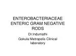 PPT - Gram Negative Rods PowerPoint Presentation, free download - ID ...