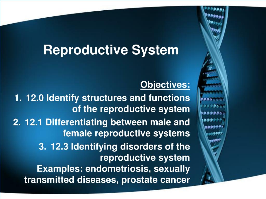 PPT - Reproductive System PowerPoint Presentation, free download - ID ...