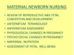 PPT - Newborn Nursing PowerPoint Presentation, free download - ID:6966884