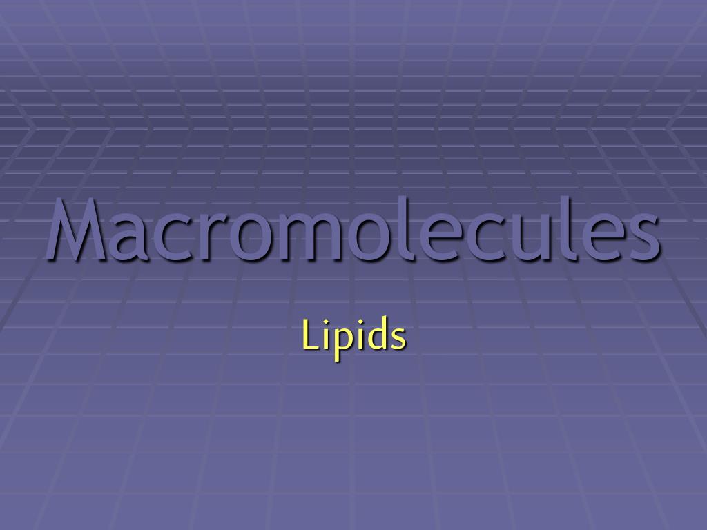 PPT - Macromolecules PowerPoint Presentation, free download - ID:1773769