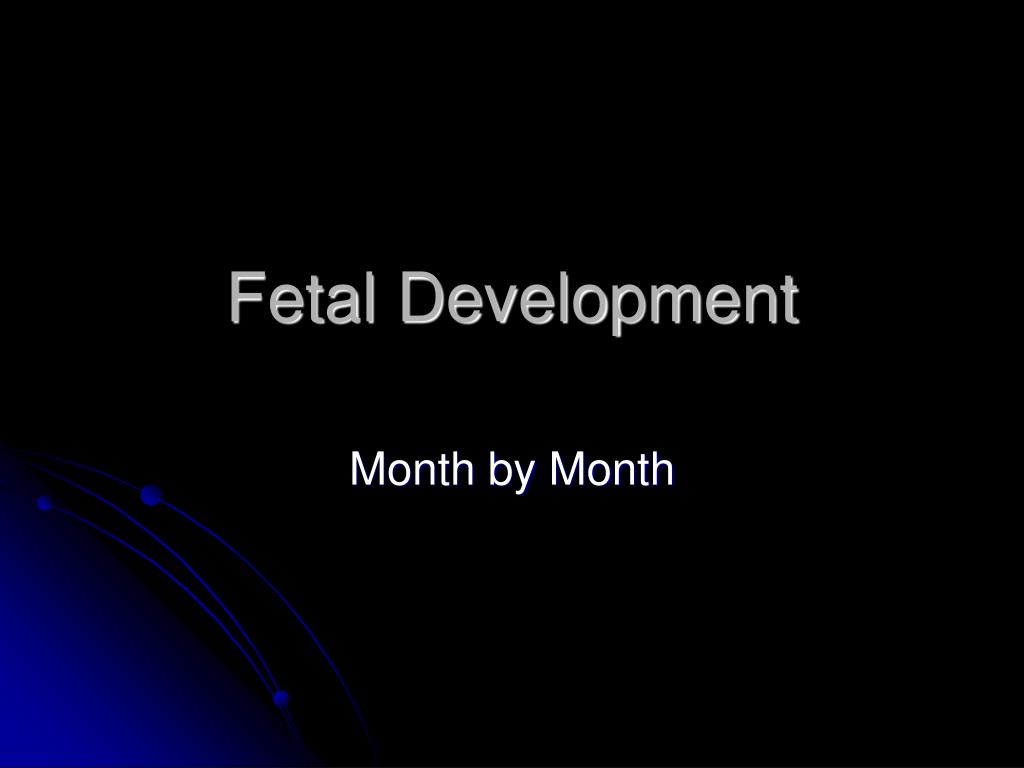 PPT - Fetal Development PowerPoint Presentation, free download - ID:1774660