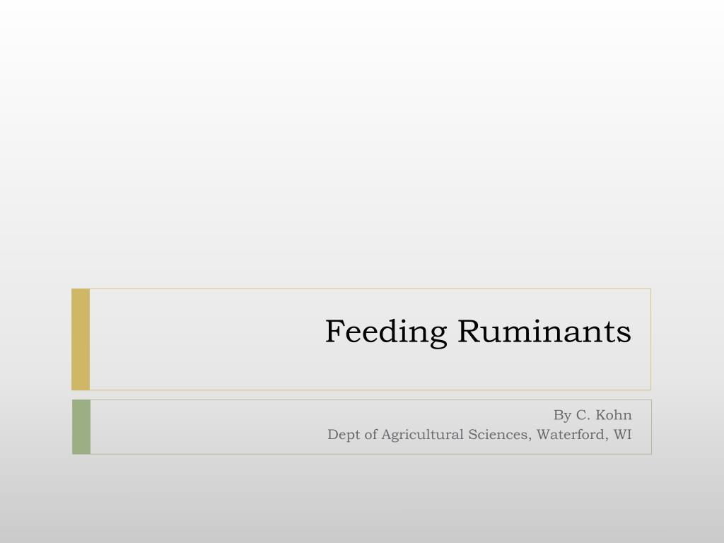 PPT - Feeding Ruminants PowerPoint Presentation, free download - ID:1775321