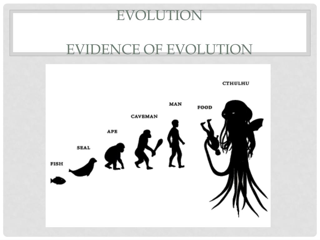 PPT - Evolution Evidence of Evolution PowerPoint Presentation, free ...