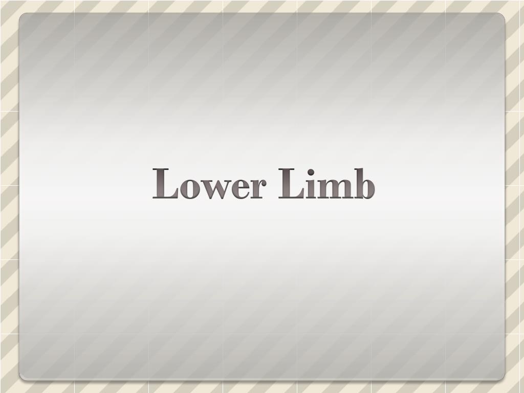 PPT - Lower Limb PowerPoint Presentation, free download - ID:1775810