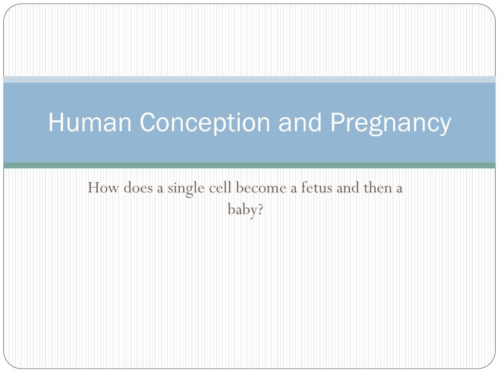 PPT - Human Conception and Pregnancy PowerPoint Presentation, free ...