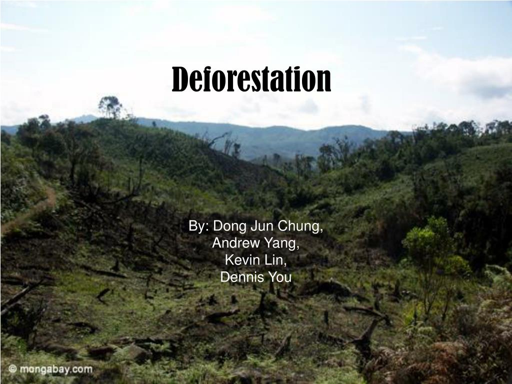 PPT - Deforestation PowerPoint Presentation, free download - ID:1776304