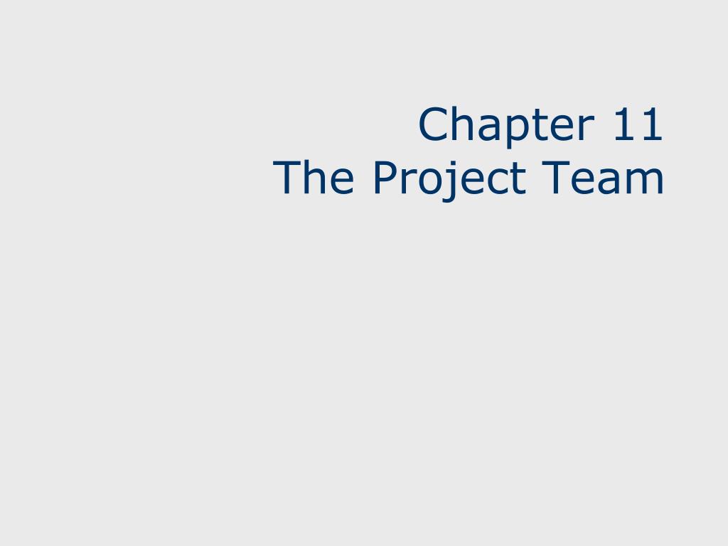 PPT - Chapter 11 The Project Team PowerPoint Presentation, free ...