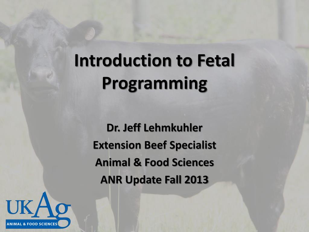 PPT - Introduction to Fetal Programming PowerPoint Presentation, free ...