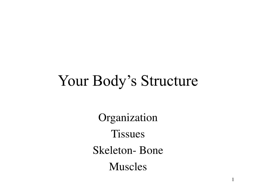 PPT - Your Body’s Structure PowerPoint Presentation, free download - ID ...