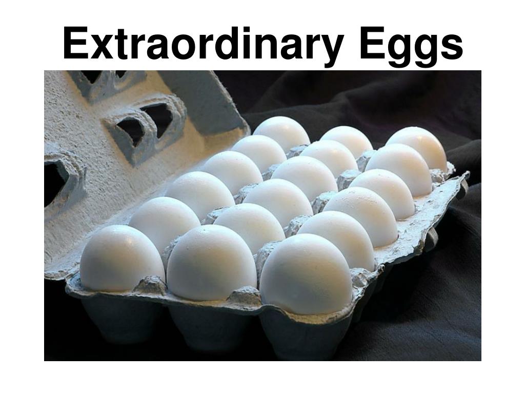 PPT - Extraordinary Eggs PowerPoint Presentation, free download - ID ...