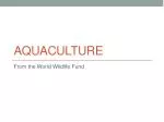 PPT - Aquaculture PowerPoint Presentation, free download - ID:1599008