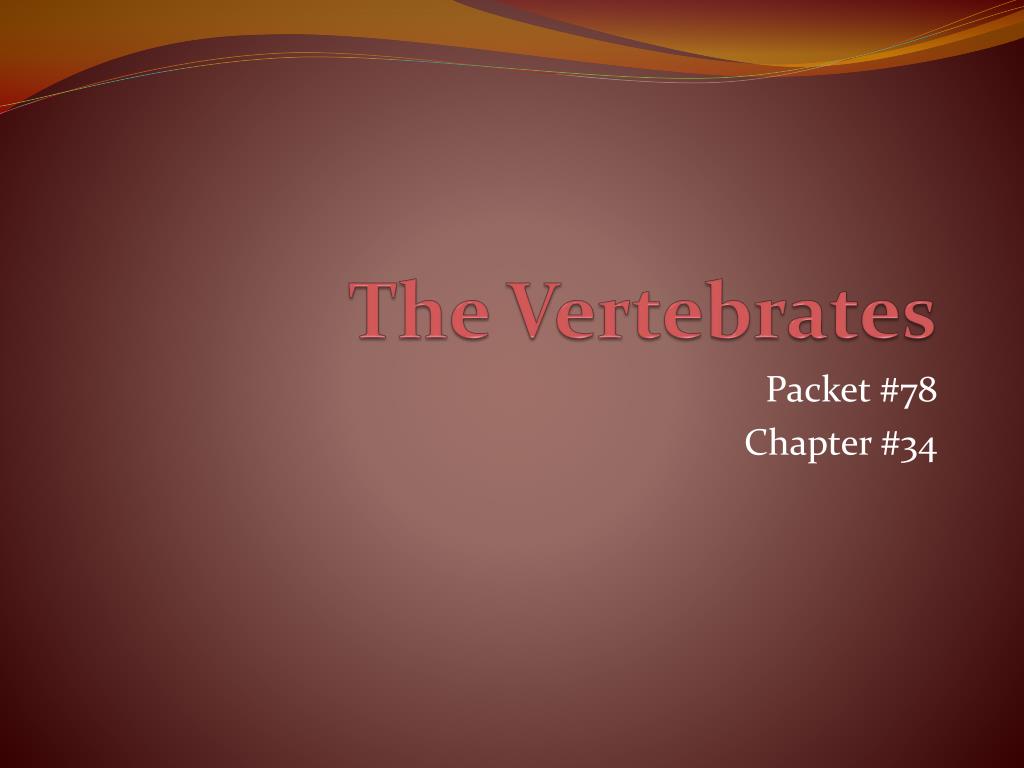 PPT - The Vertebrates PowerPoint Presentation, free download - ID:1780280