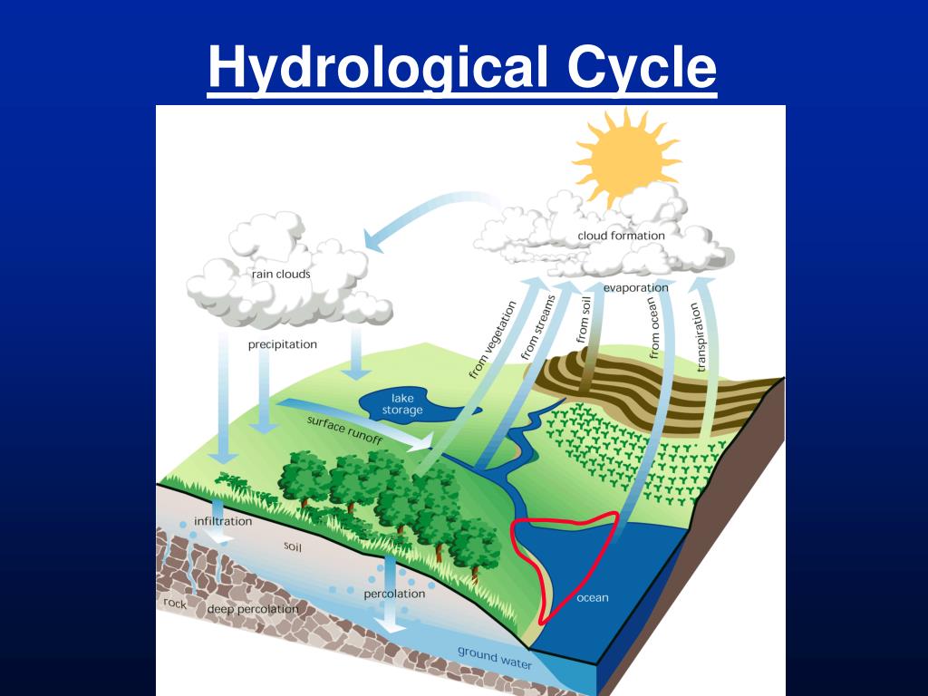 PPT - Hydrological Cycle PowerPoint Presentation, free download - ID ...