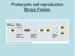 PPT - Chromosomes Binary Fission Mitosis Cancer PowerPoint Presentation ...