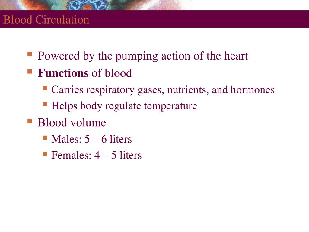 Ppt Blood Circulation Powerpoint Presentation Free Download Id 1781644