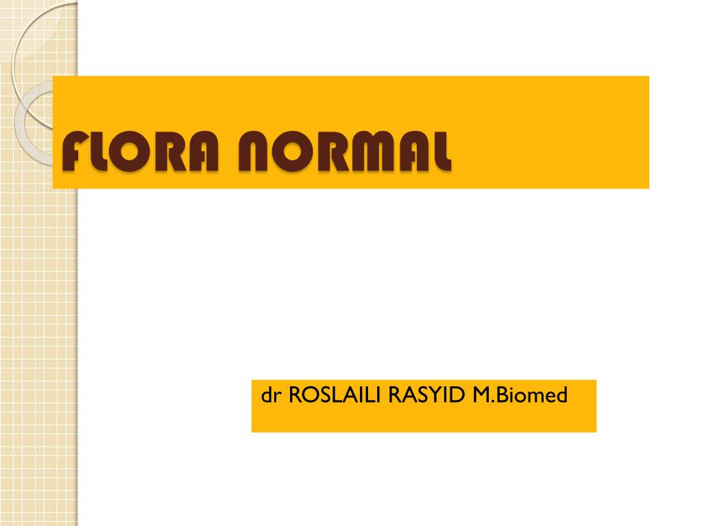 PPT - FLORA NORMAL PowerPoint Presentation, free download - ID:1782959