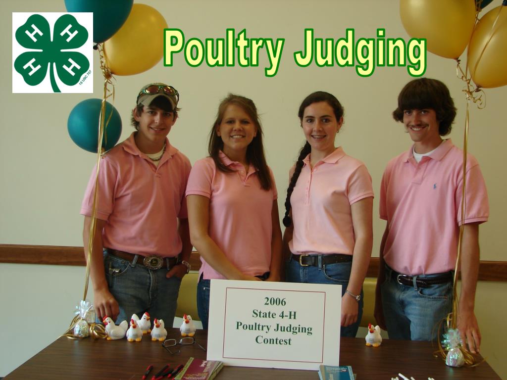 PPT - Poultry Judging PowerPoint Presentation, free download - ID:1782965