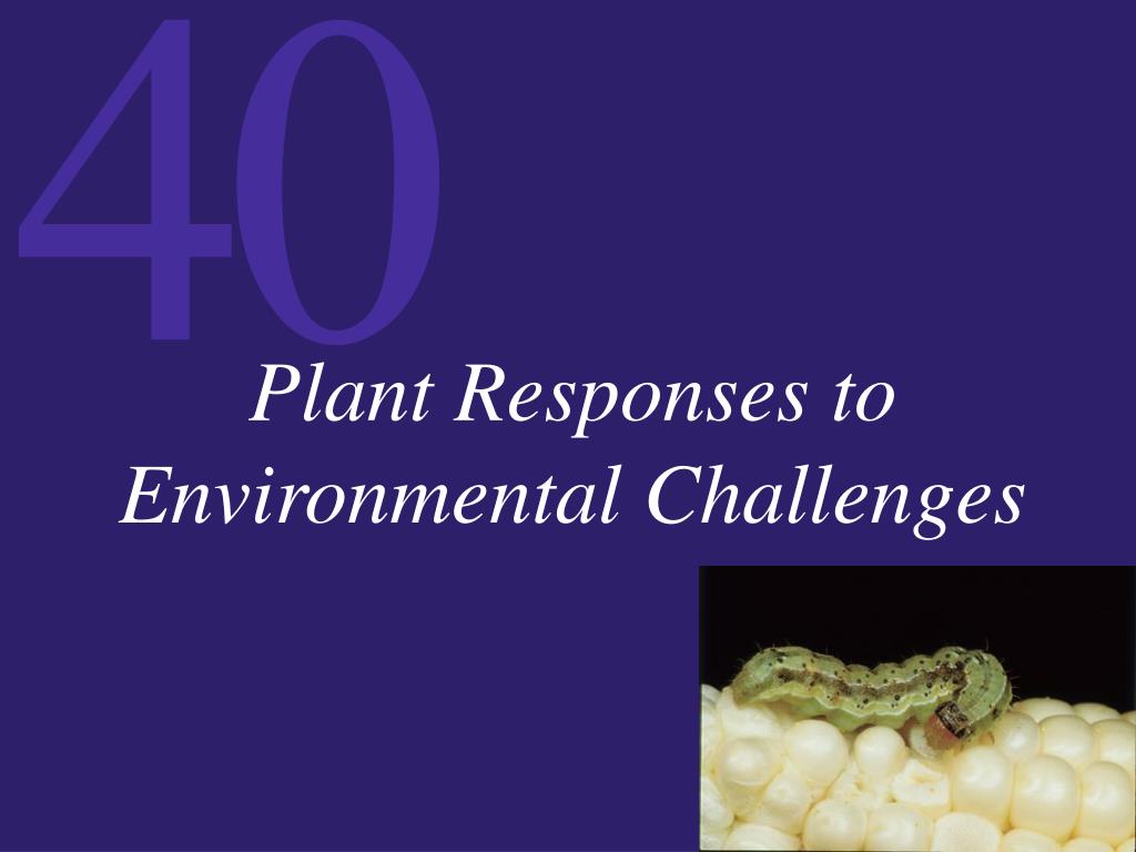 PPT - Plant Responses to Environmental Challenges PowerPoint ...