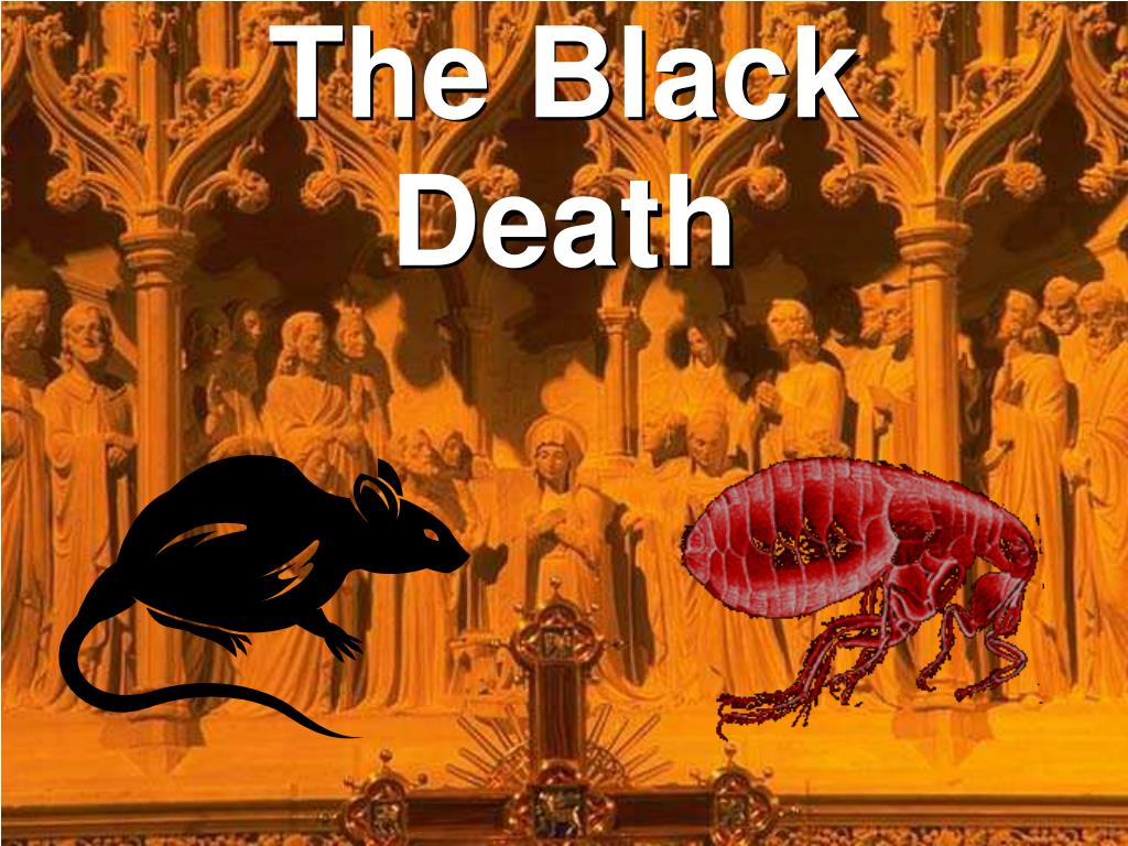 PPT - The Black Death PowerPoint Presentation, free download - ID:1783679