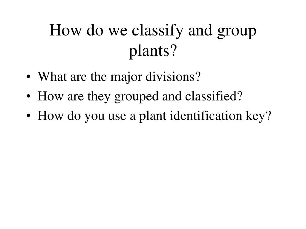 PPT - Understanding Plant Classification and Identification Keys ...