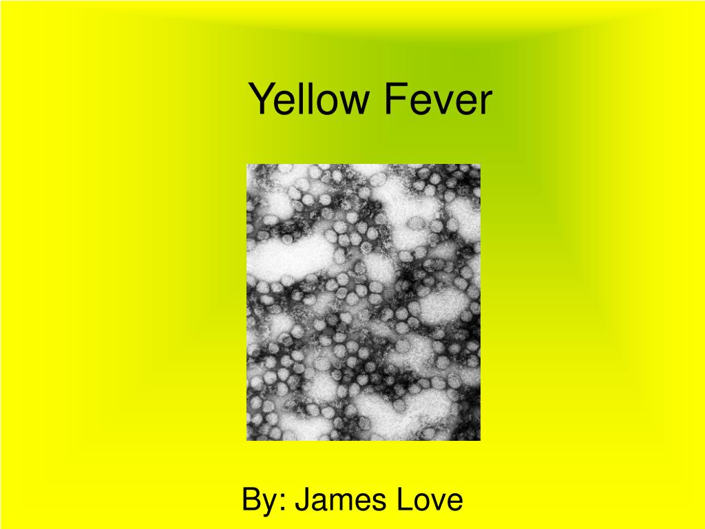 PPT - Yellow Fever PowerPoint Presentation, free download - ID:1783968