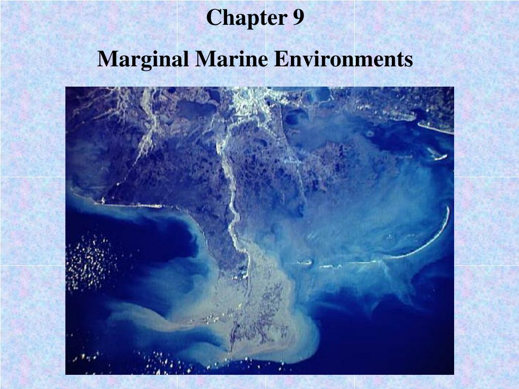 PPT - Chapter 9 Marginal Marine Environments PowerPoint Presentation ...