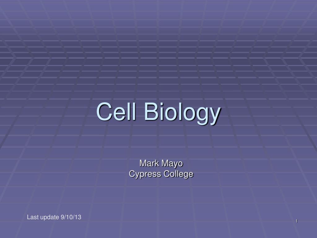 PPT - Cell Biology PowerPoint Presentation, free download - ID:1785579