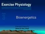 PPT - BIOENERGETICS PowerPoint Presentation, free download - ID:9072015