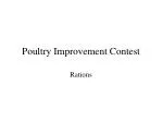 PPT - Poultry Improvement Project PowerPoint Presentation, free ...