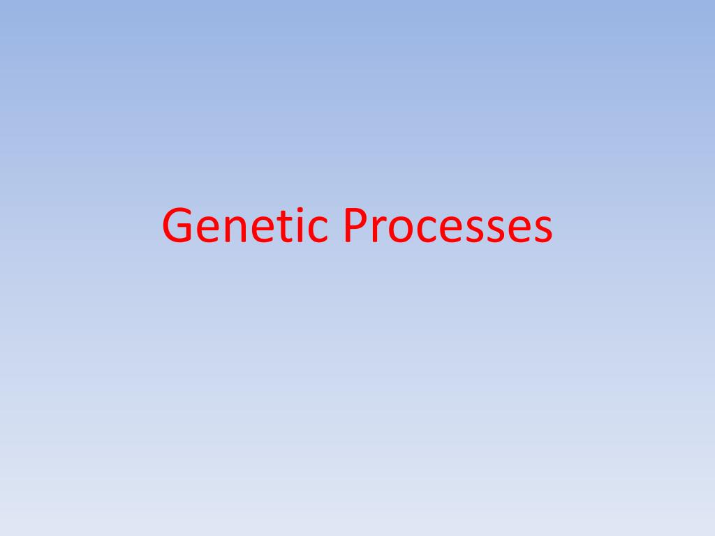 PPT - Genetic Processes PowerPoint Presentation, free download - ID:1788279