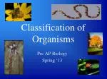 PPT - CLASSIFICATION OF ORGANISMS PowerPoint Presentation, free ...