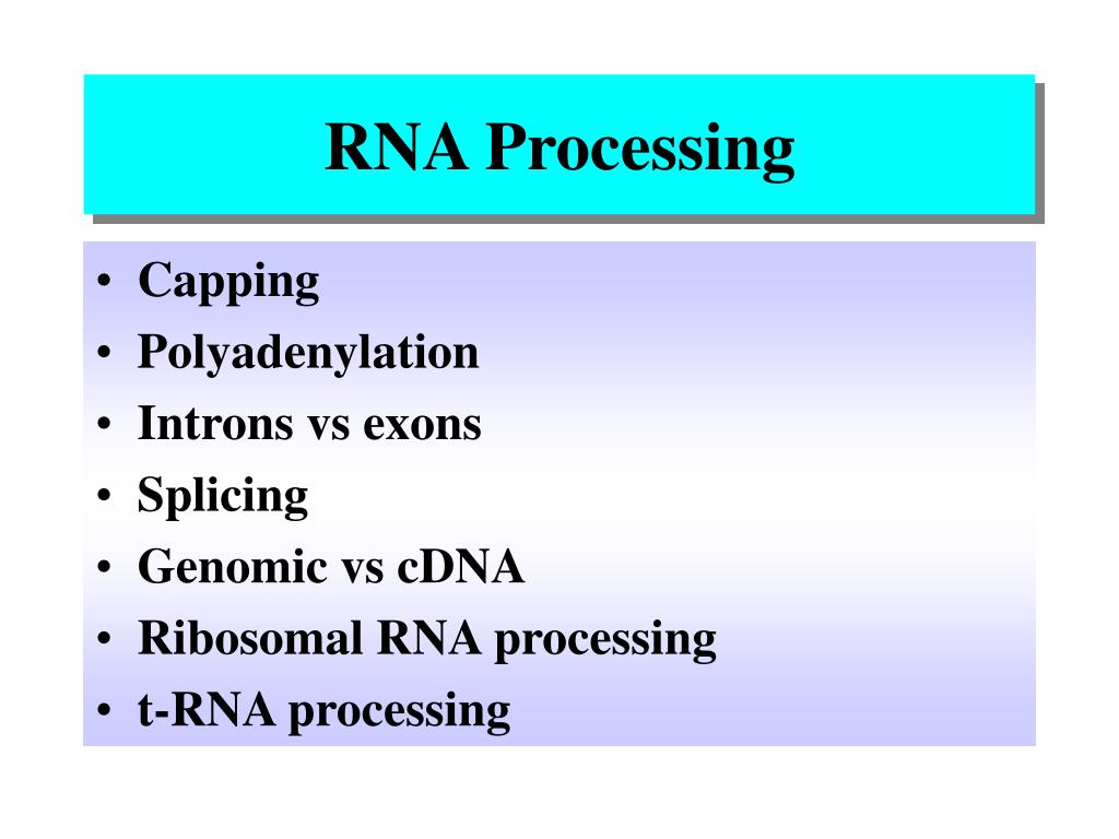 PPT - RNA Processing PowerPoint Presentation, free download - ID:1790399
