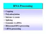 PPT - RNA PROCESSING EUKARYOTES PowerPoint Presentation, free download ...