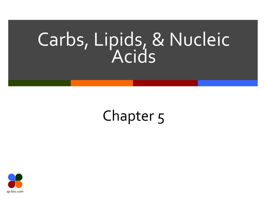 PPT - Carbs , Lipids, & Nucleic Acids PowerPoint Presentation, free ...