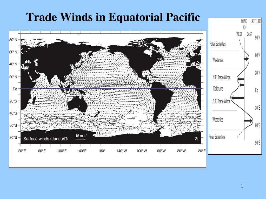 PPT - Trade Winds in Equatorial Pacific PowerPoint Presentation, free ...