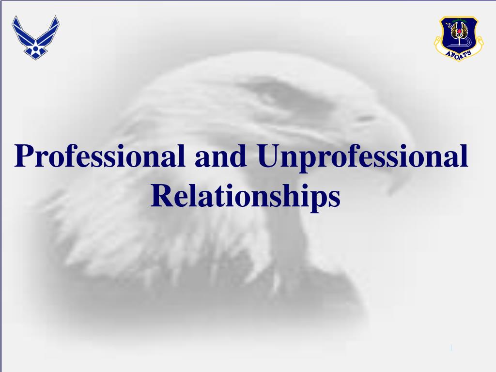 PPT - Professional and Unprofessional Relationships PowerPoint ...