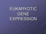 PPT - Regulation of Prokaryotic and Eukaryotic Gene Expression ...