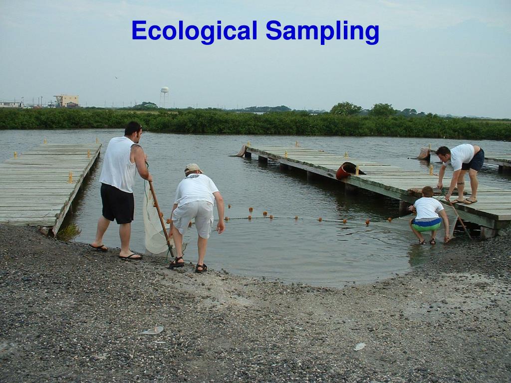 PPT - Ecological Sampling PowerPoint Presentation, free download - ID ...