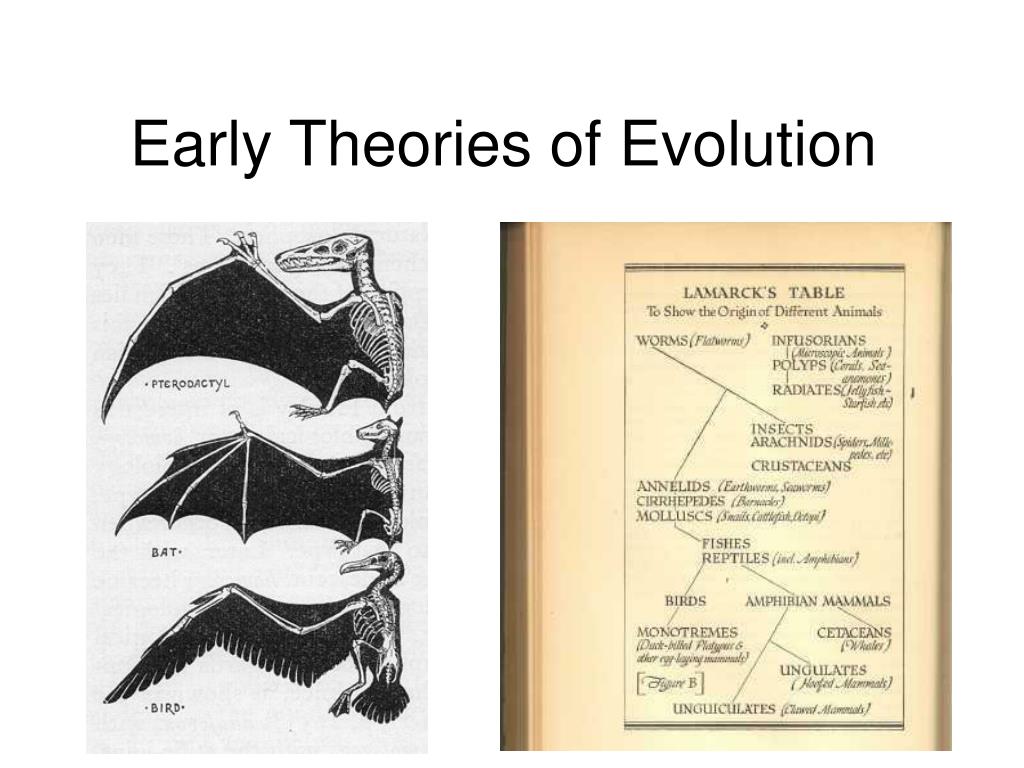 PPT - Early Theories of Evolution PowerPoint Presentation, free ...