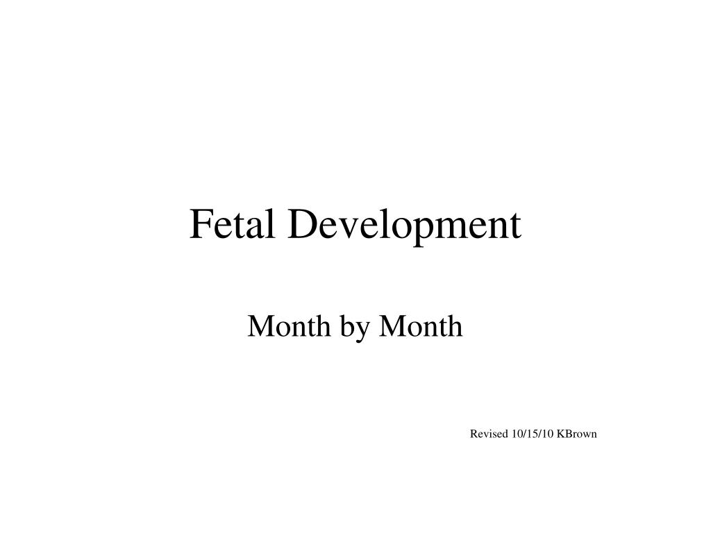PPT - Fetal Development PowerPoint Presentation, free download - ID:1798926