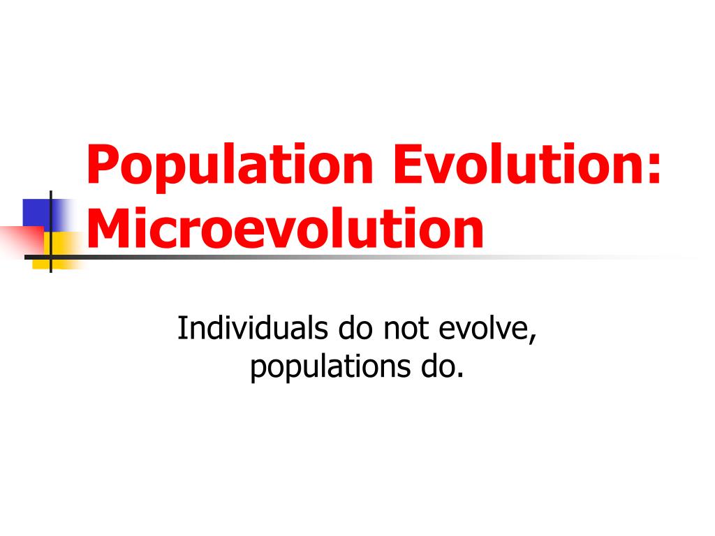 PPT - Population Evolution: Microevolution PowerPoint Presentation, free download - ID:1800124