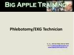 PPT - Phlebotomy PowerPoint Presentation, free download - ID:2240980