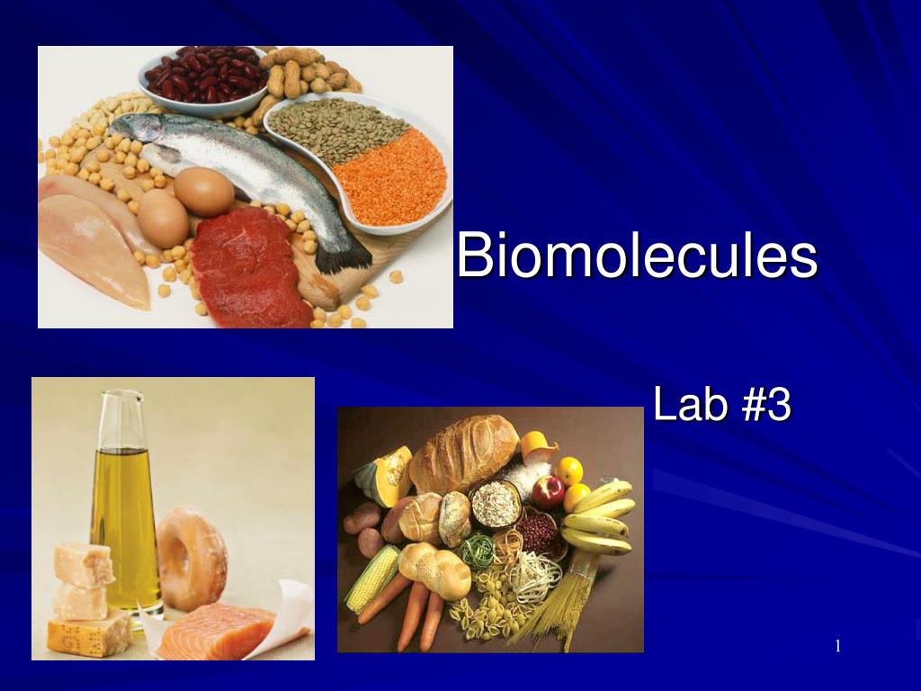 PPT - Biomolecules PowerPoint Presentation, free download - ID:1800990