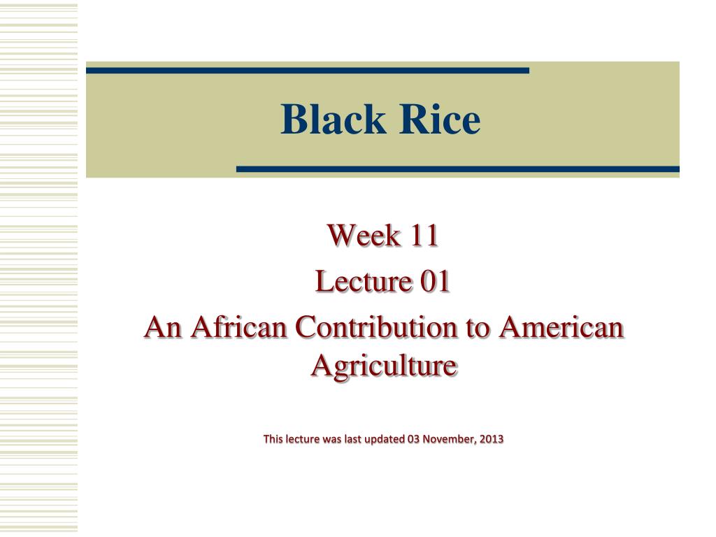 PPT - Black Rice PowerPoint Presentation, free download - ID:1802189